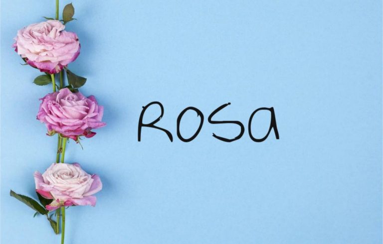 Significado de Rosa - 👩Nombres de Mujer