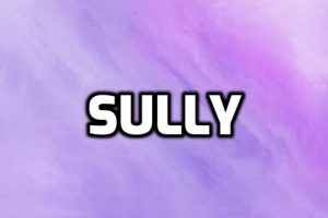 Significado de Sully - 👩Nombres de Mujer