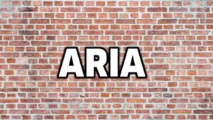 Significado de Aria - 👩Nombres de Mujer